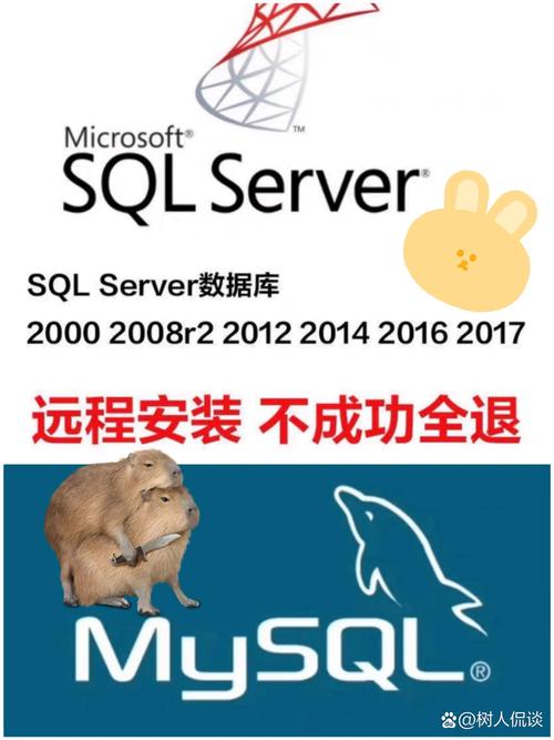 win10安装SQL哪个版本好截图