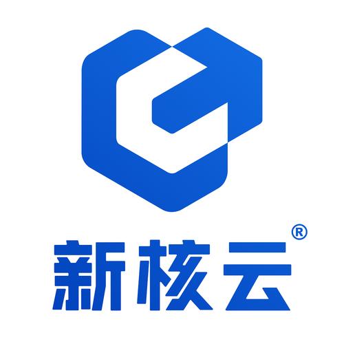 新核云C2图标