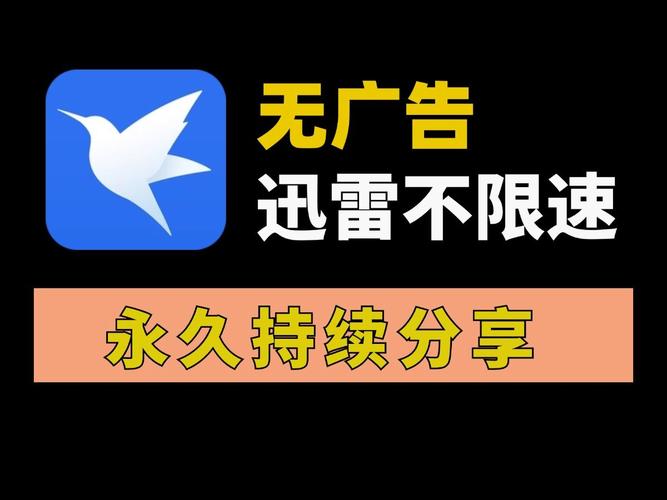 迅雷vip尊享版登不上截图