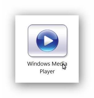 Win10flash Player插件图标