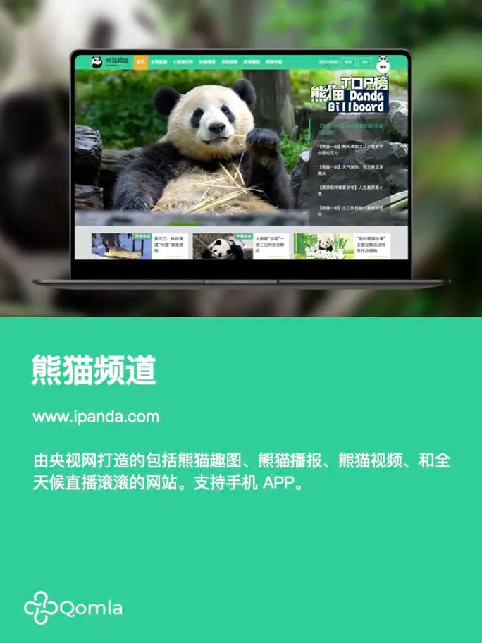 熊猫网app官方最新版本更新内容图标