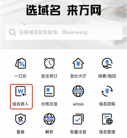 如何查询app的域名截图