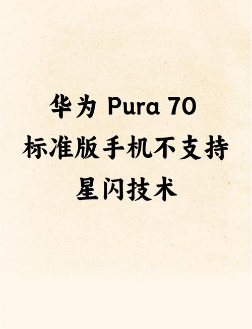 华为怎么以闪亮之名正版截图
