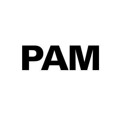 pam中文版截图