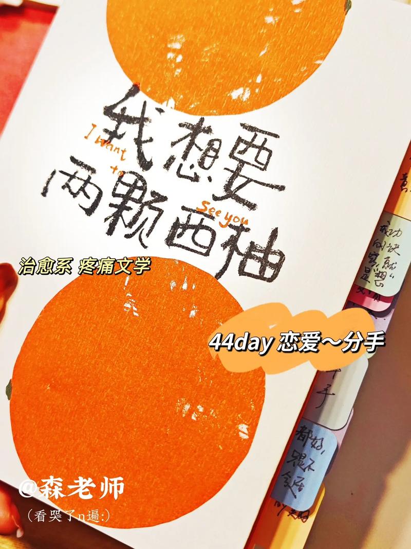 西柚小说免费阅读在线观看图标