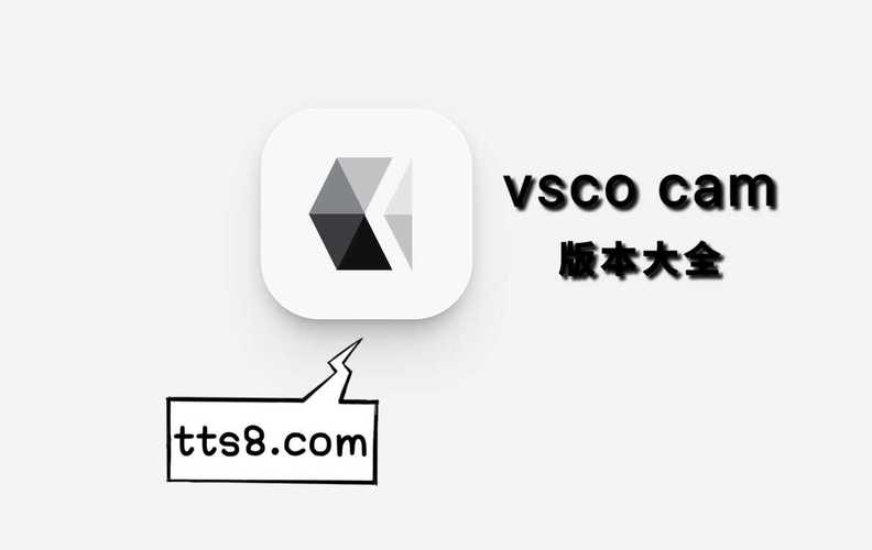vsco破解中文版图标