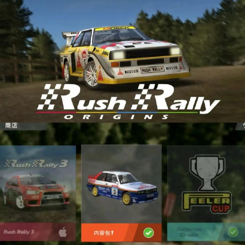 rushrally3安卓版图标