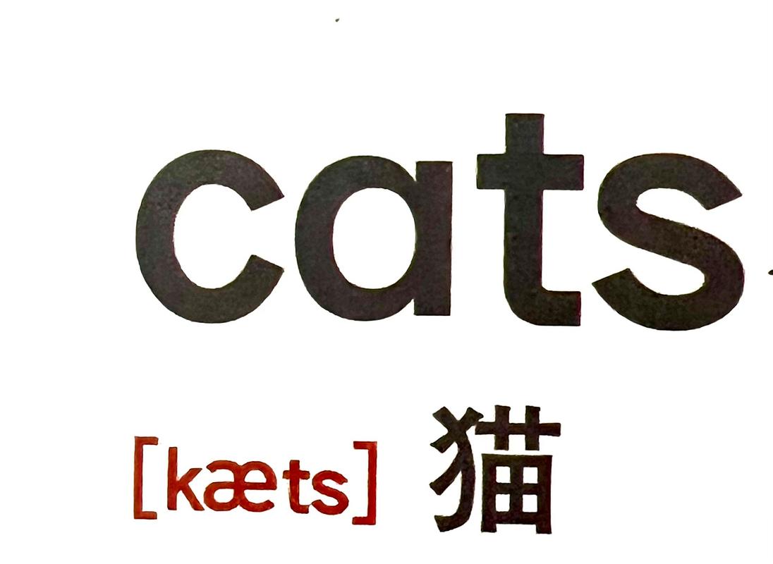 cats国际版最新版图标