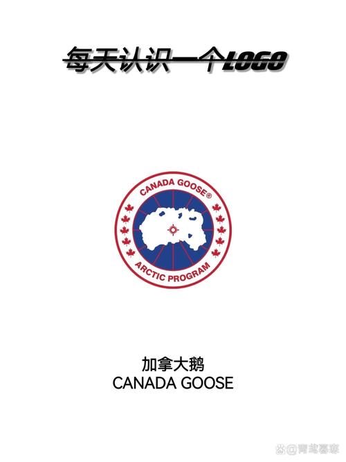 英文原版goose