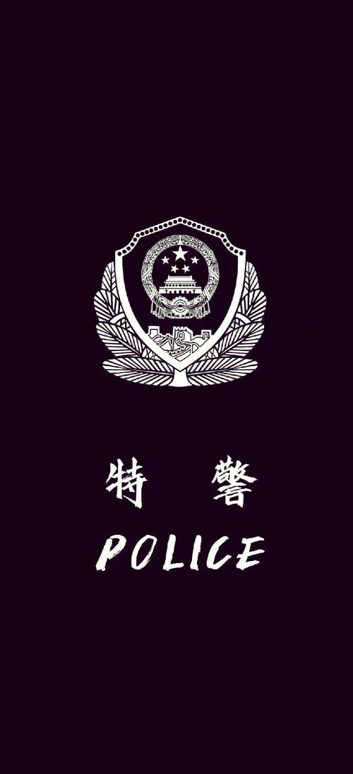 我是警察2手机版