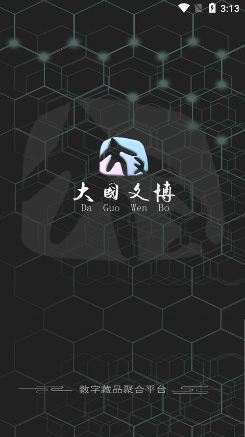 大国文博app图标