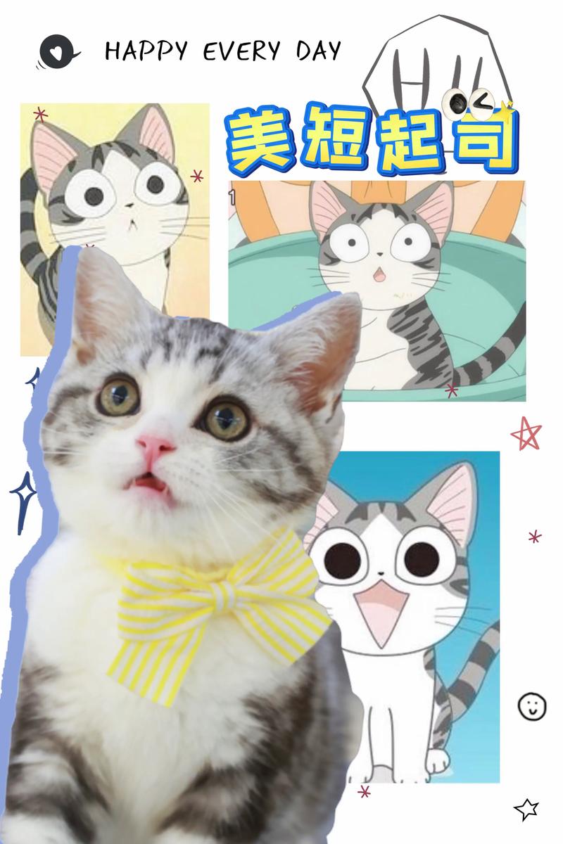 起司漫画1.0.0
