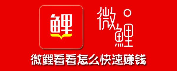 微鲤看看老版本截图
