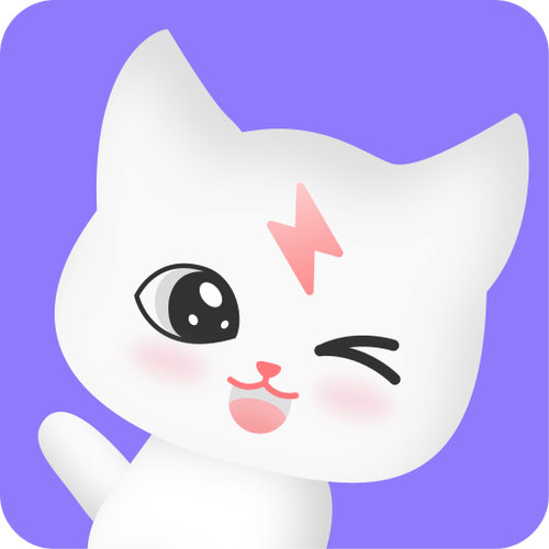 闪约猫