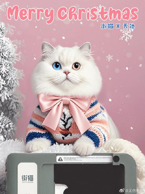 奇迹猫漫画截图