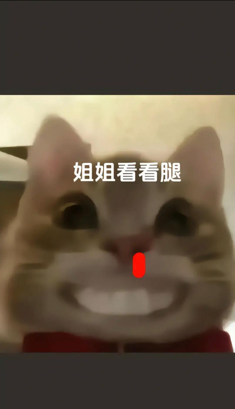 抖音梗姐姐表情包