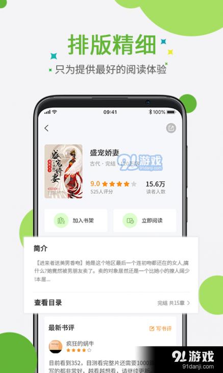 小说王