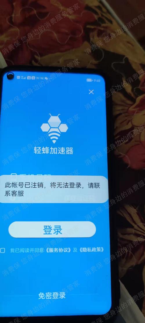轻蜂加速器app