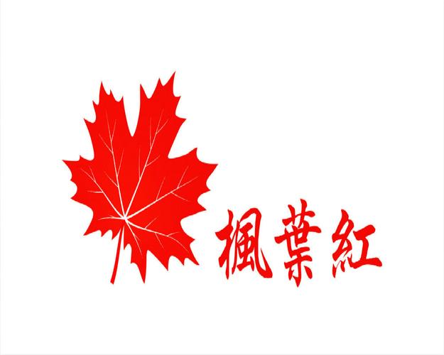 枫叶社工最新中文版图标