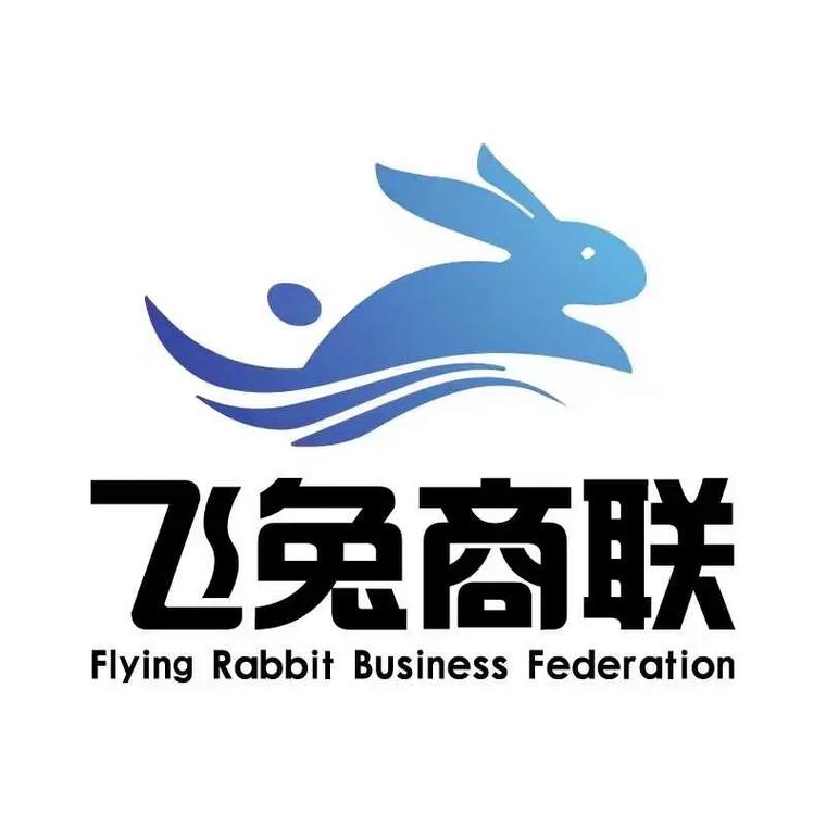 飞兔加速器2.0截图