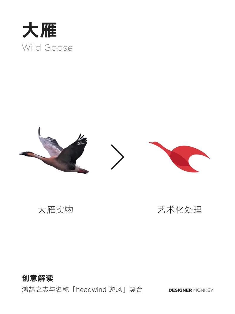 白雁看点图标
