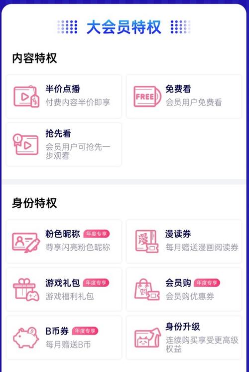 哔哩哔哩VIP完美破解