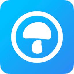 蘑菇伙伴app下载