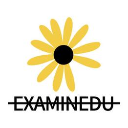雏菊任务平台官网版图标