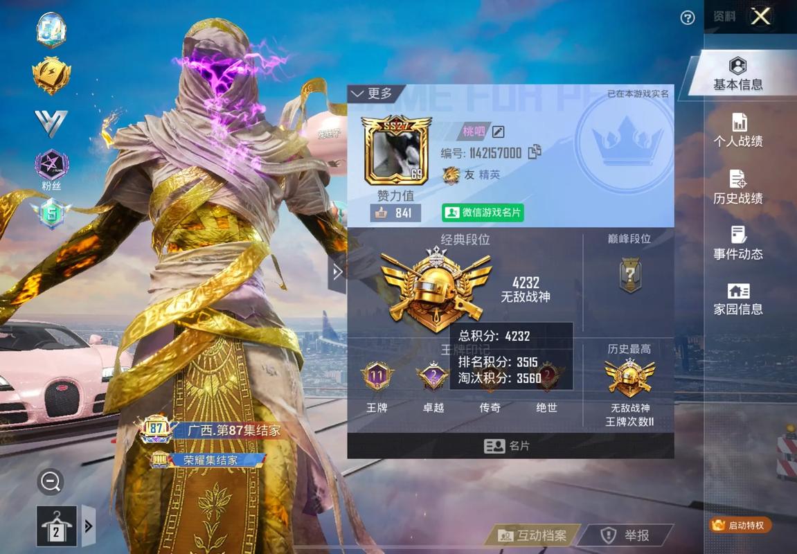 V10大佬下载和平精英