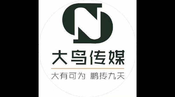 大鸟传媒截图