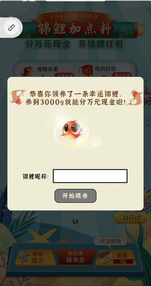 锦鲤加点料