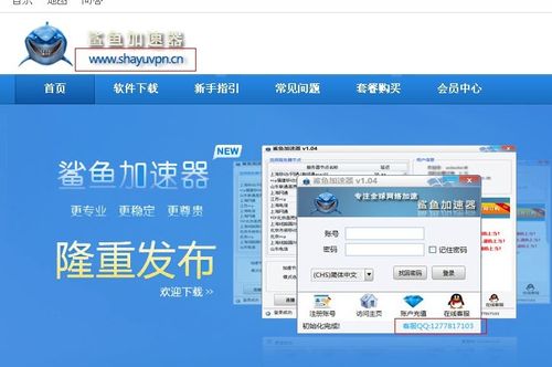 鲨鱼加速器