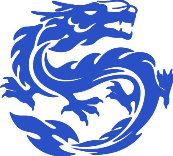 蓝龙美化包正版图标