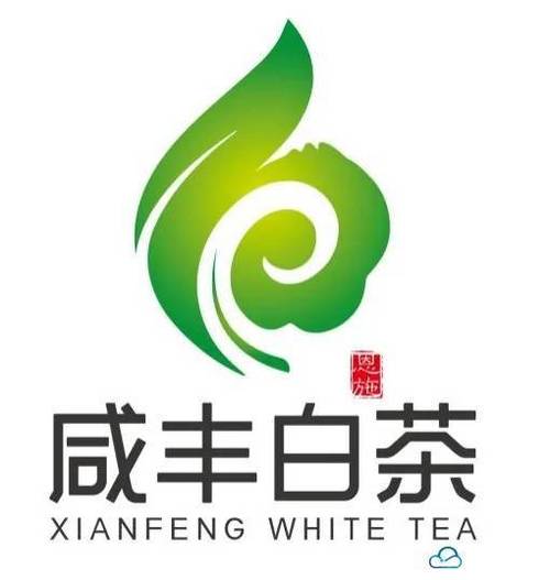 白茶平台截图