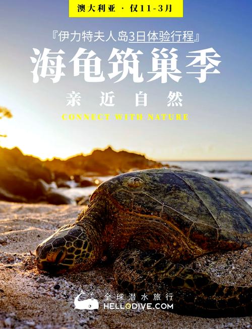 海龟养殖app