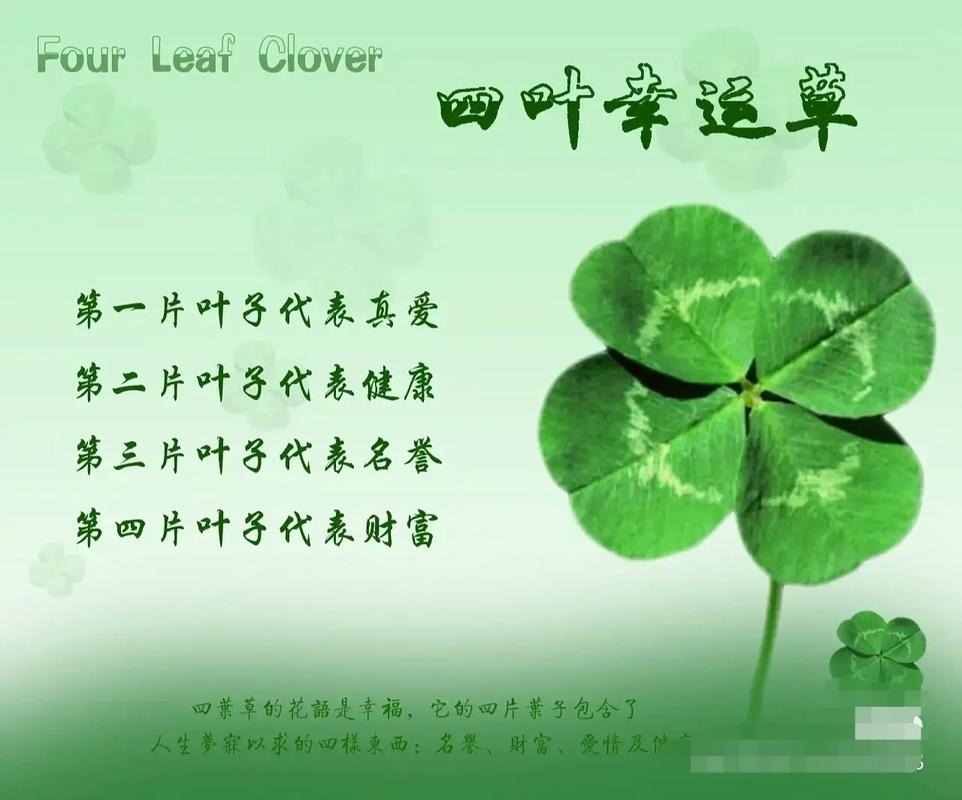 四叶草转发文章赚钱软件截图