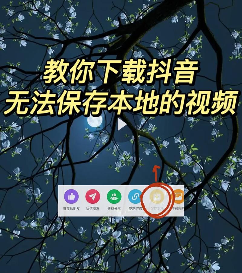 抖荫视频
