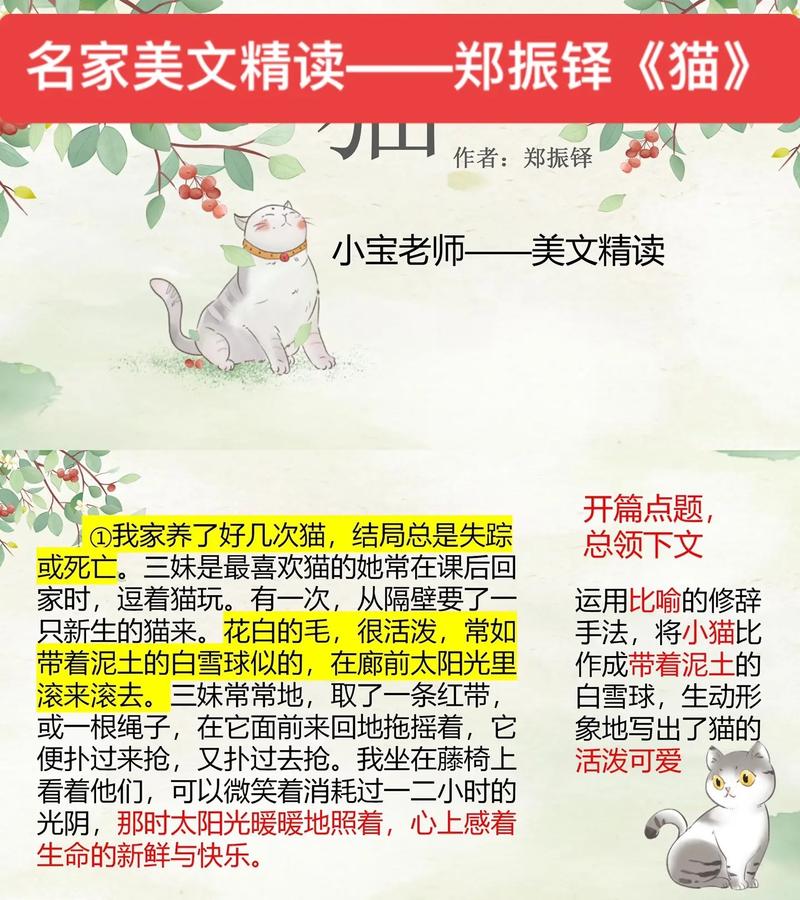 猫猫小说