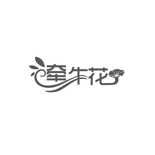 牵牛花图标