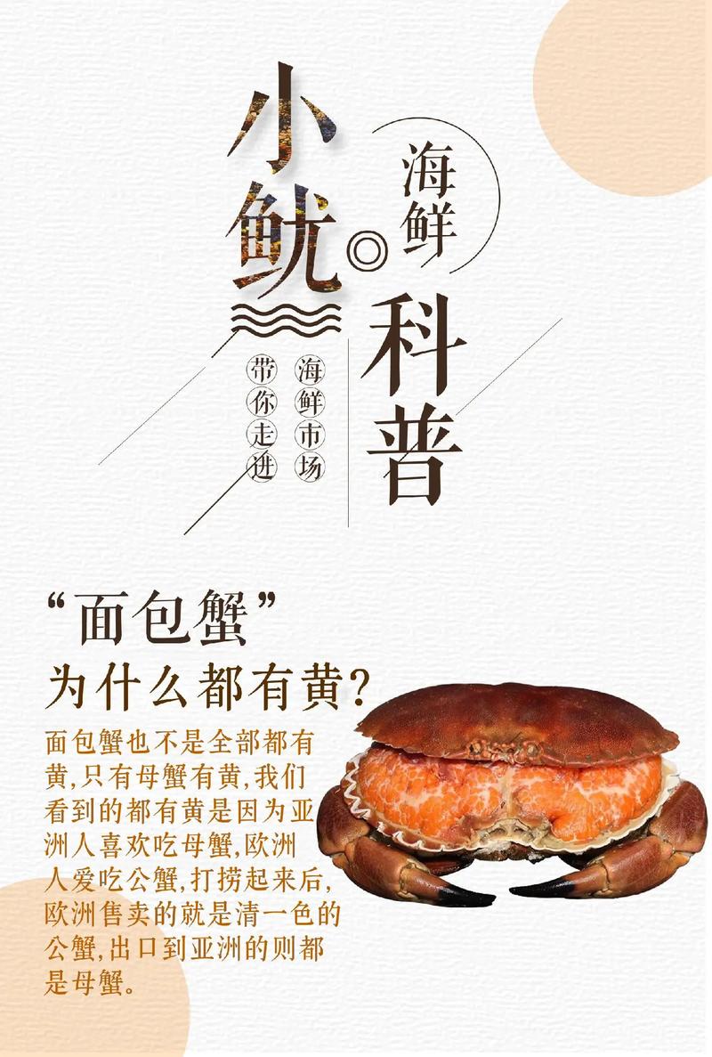 面包蟹app