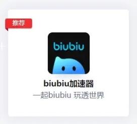 BIU BIU加速器下载安装截图