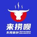 快来捞图标