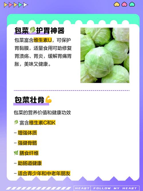 包菜资讯v1.0图标