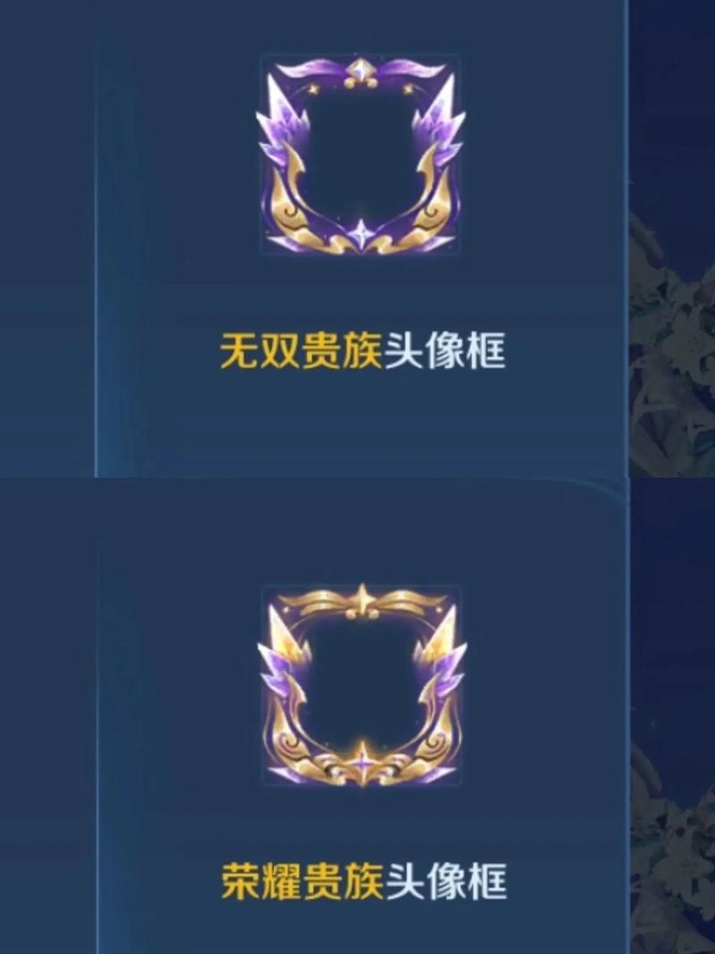 王者荣耀头像框软件app截图