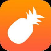菠萝小说v3.0.12图标
