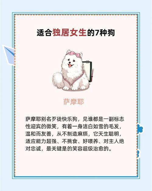 七狗小说图标