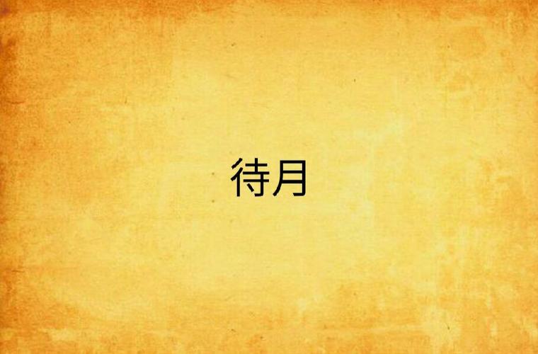 待月小说破解图标