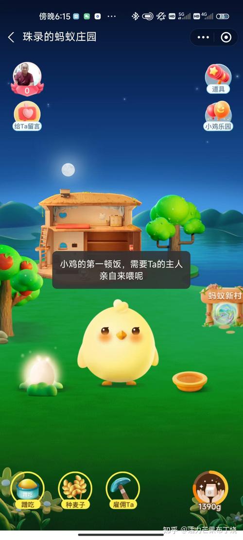 小鸡联盟