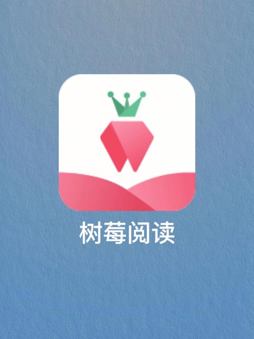 树莓阅读1.3.2.1图标