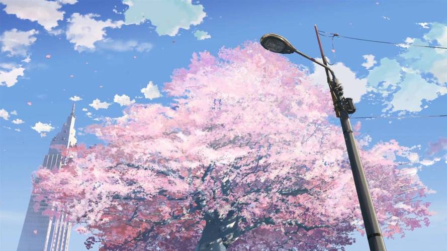 风车樱花动漫